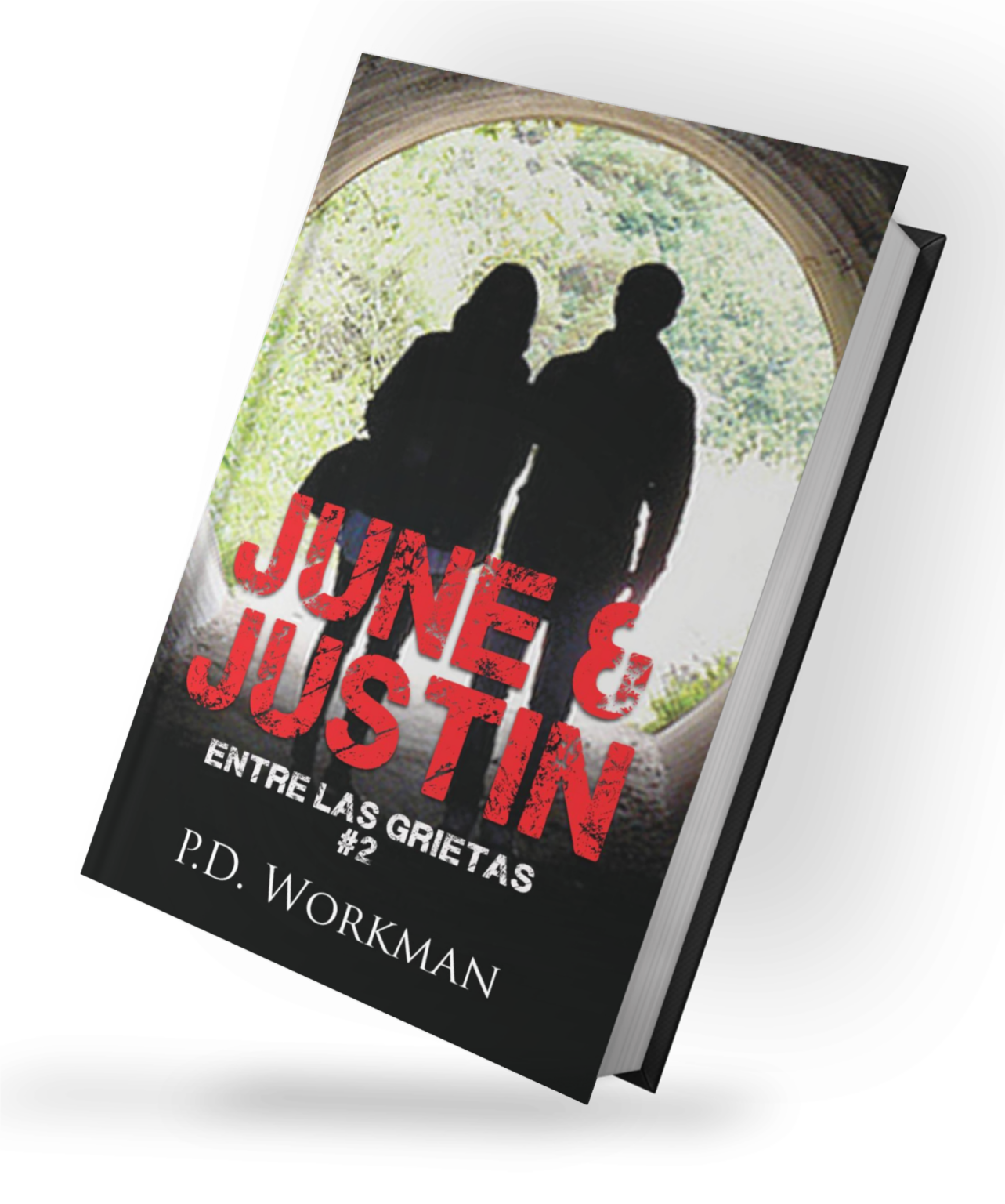 June & Justin, Between the Cracks #2 | pdworkman.com