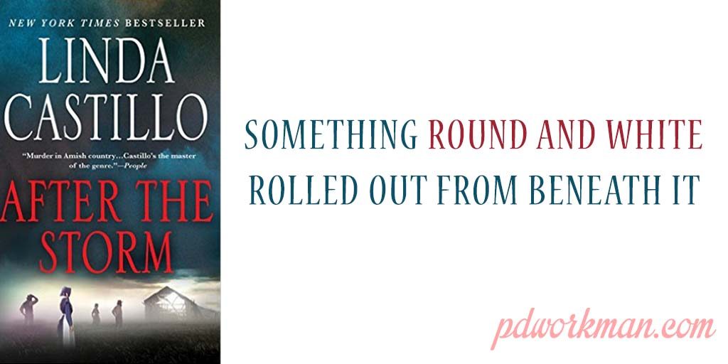 Excerpt from After the Storm | pdworkman.com