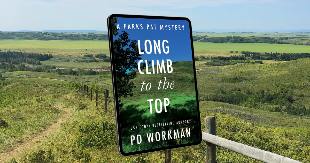 Long Climb to the Top | pdworkman.com
