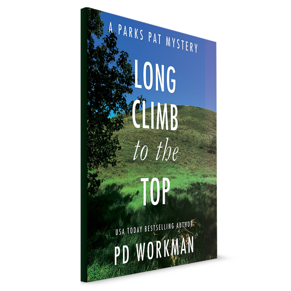 Long Climb to the Top - pdworkman.com