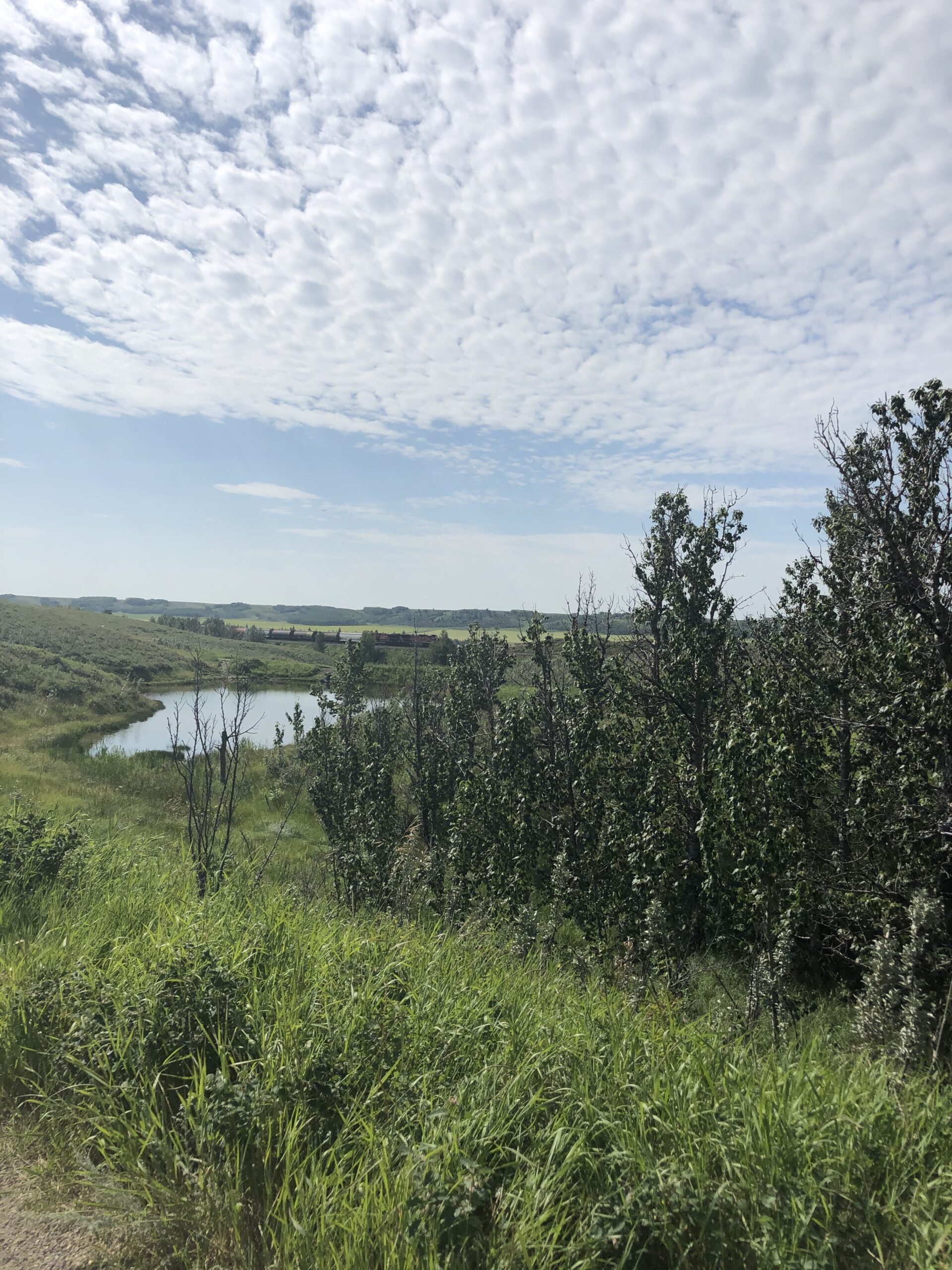 Glenbow Ranch Provincial Park | pdworkman.com