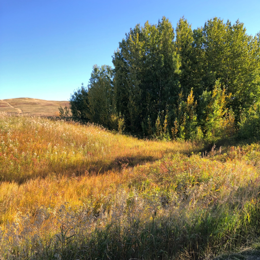 Knows the Hills - pdworkman.com