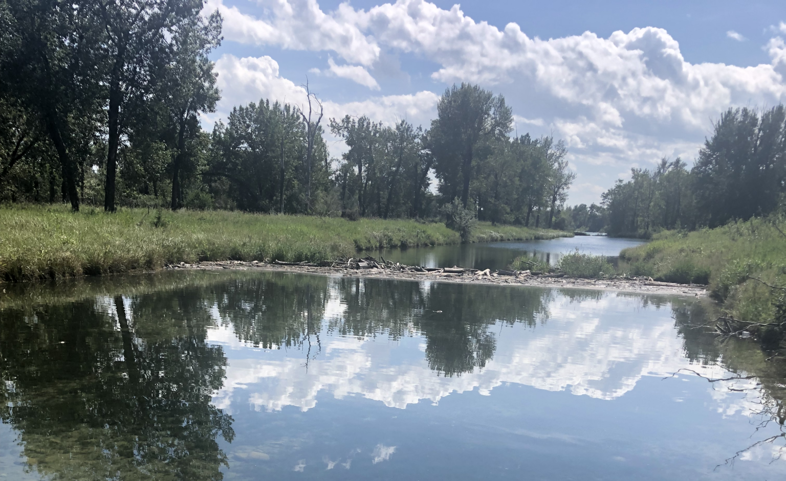 Inglewood Bird Sanctuary | pdworkman.com